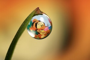 Amazing Water Drop Reflection Photography - PickChur
