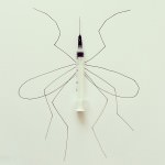 29 Creative Doodles using the Most Simple Everyday Objects